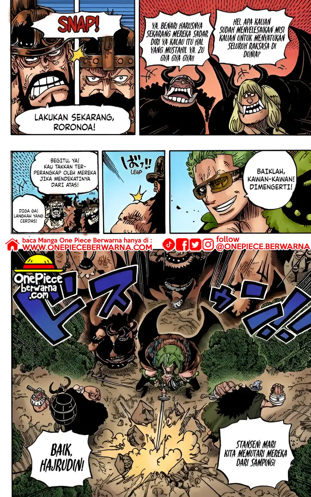 one piece 1173 – One Piece Berwarna