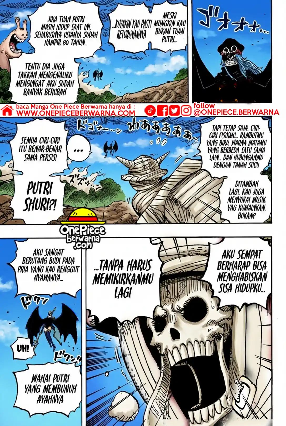 one piece 1173 – One Piece Berwarna