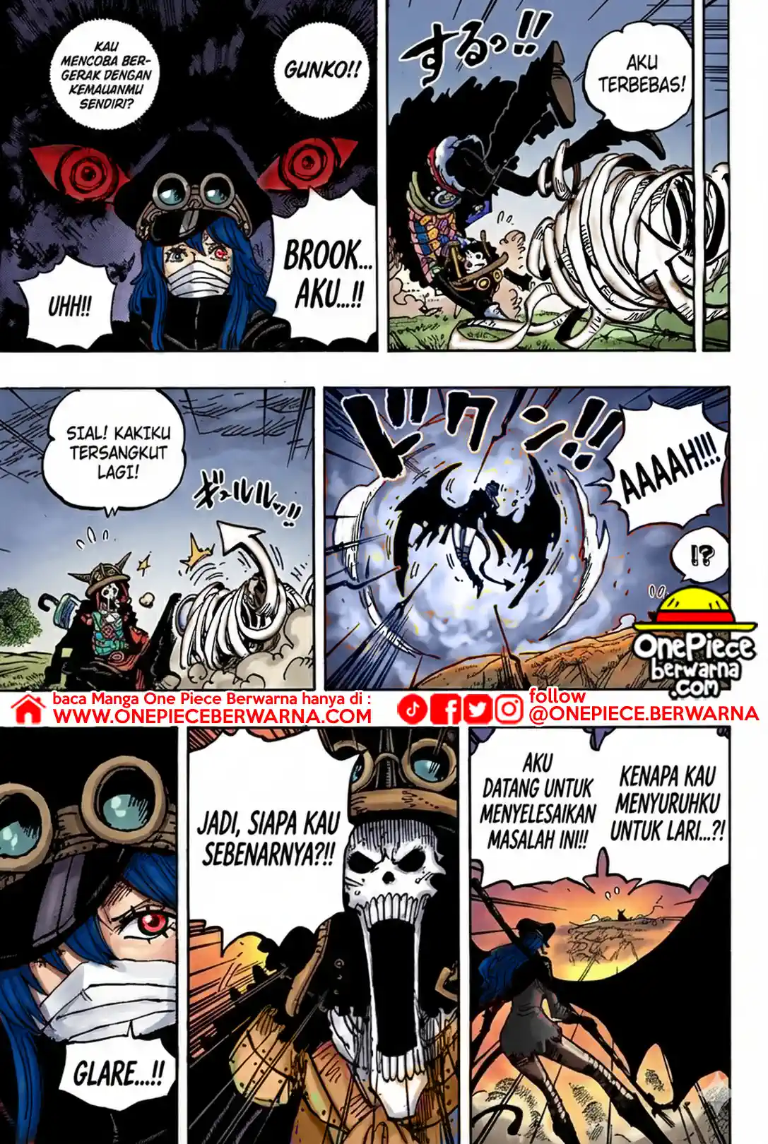 one piece 1173 – One Piece Berwarna