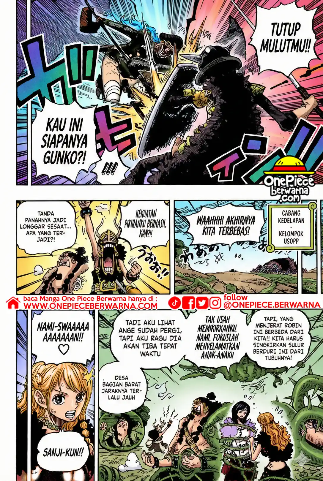one piece 1173 – One Piece Berwarna